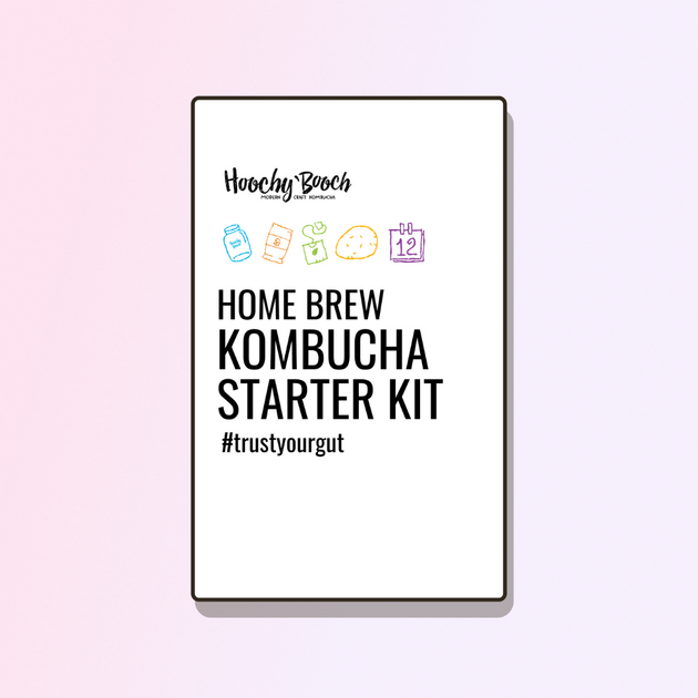 Kombucha Starter Kit │ Hoochy 'Booch Kombucha